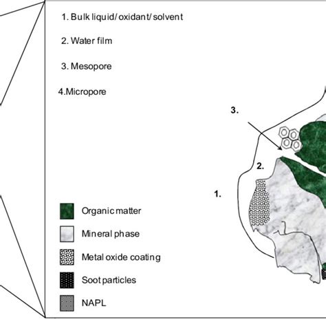 Conceptual Model Of A Soil Particle Indicating Soil Parameters Download Scientific Diagram