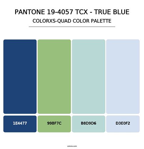 PANTONE 19 4057 TCX True Blue Color Palettes Colorxs