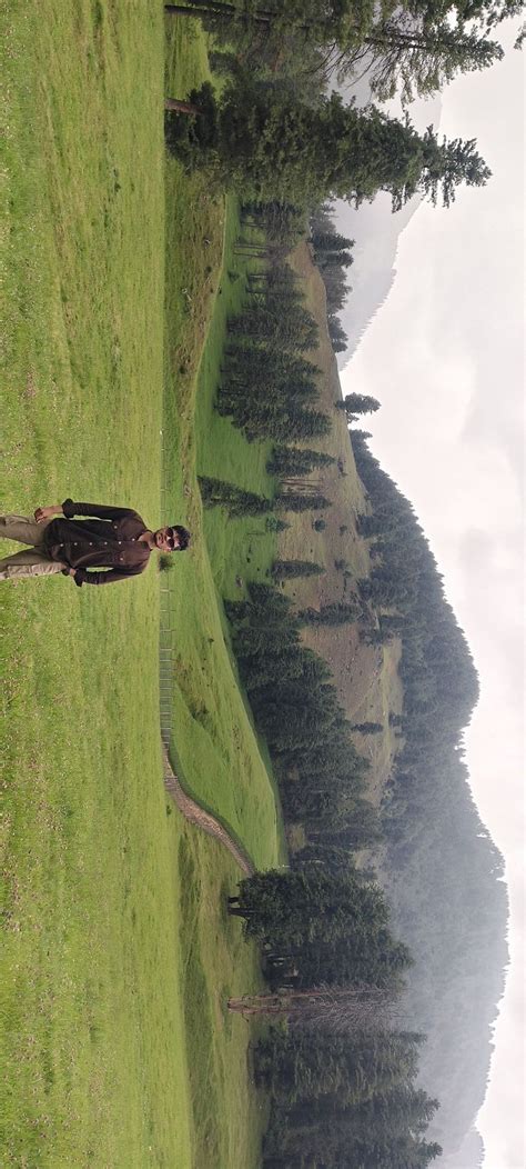 Pin By Mohsin Ansari On Mohsin Ansari Quick