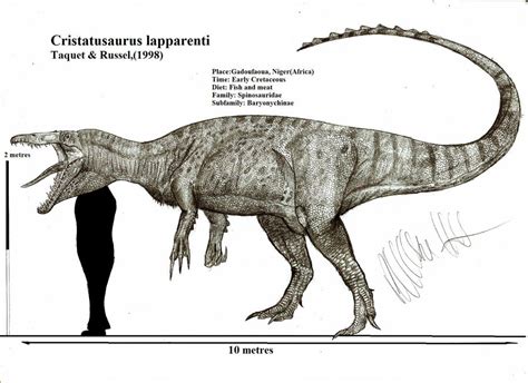 Cristatusaurus Pictures And Facts The Dinosaur Database