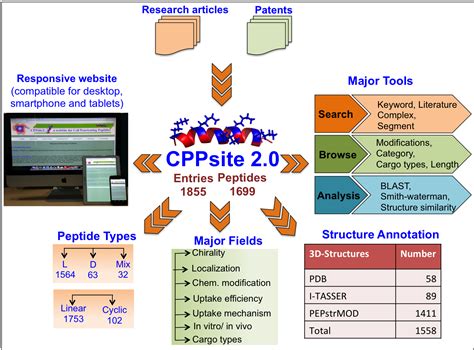 Cppsite 20 A Database Of Cell Penetrating Peptides