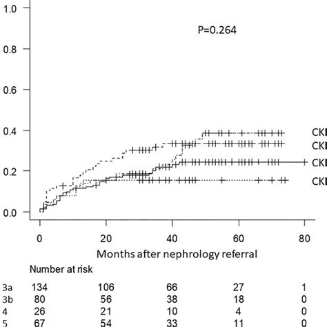 Cardiovascular Composite Outcome By Ckd Stage Download Scientific Diagram