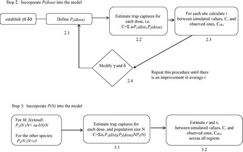 diagram of the model simulation procedures steps 2 and 3 download