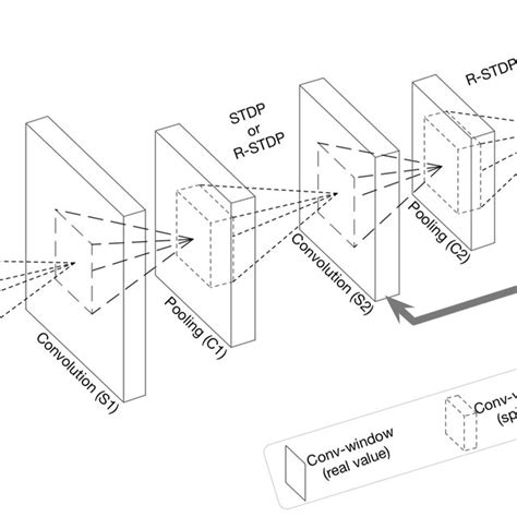 Pdf Spiking Neural Networks And Their Applications A Review