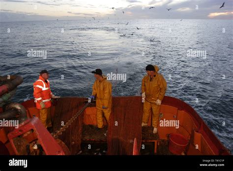 On Board A Fishing Trawler In The Irish Sea 4 Man Crew Work On 1 Of