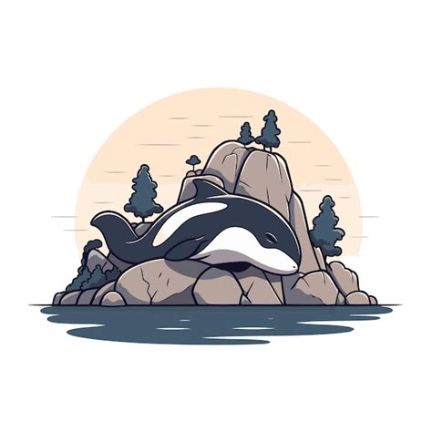 Cute Cartoon Killerwal Auf Dem Felsen Im Meer Vektor Illustration