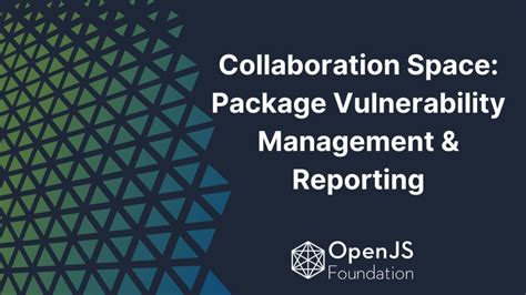 Package Vulnerability Management And Reporting Collaboration Space