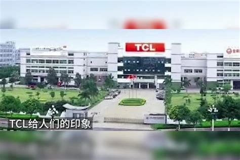 Tcl李东生：十年坚持，迎来鹰的蜕变！