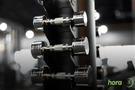 Quantas calorias queima um treino de musculação Descubra aqui