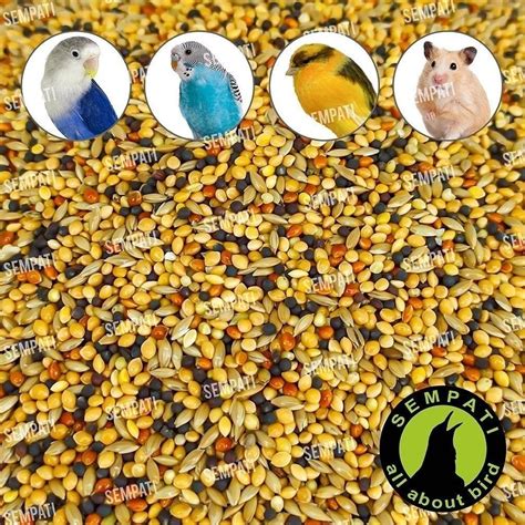 Jual MILET CAMPUR SEMPATI 1 KG KOMPLIT MILET CAMPUR 1KG MIXED CANARY