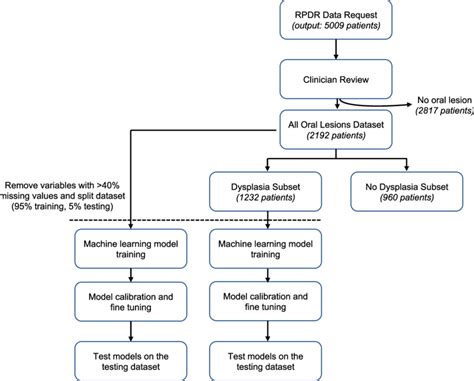 Project Workflow Schematic Download Scientific Diagram