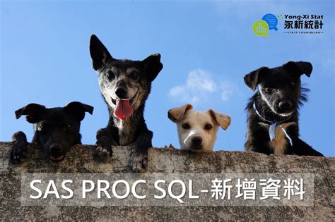 【sas Proc Sql 新增資料】 永析統計及論文諮詢顧問