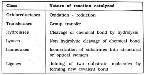 Classification Of Enzymes ~ Biotechfront