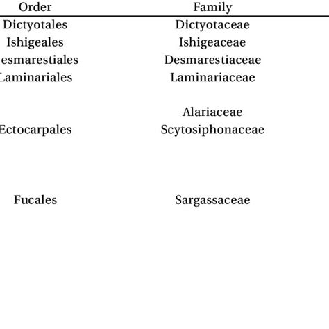 Brown Algal Species Selected For The Transcriptome Sequencing Analysis