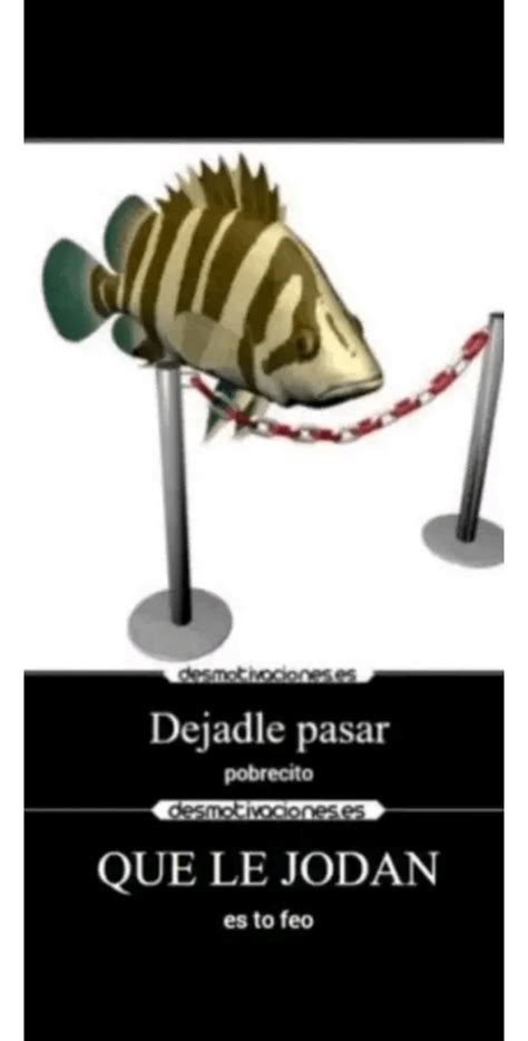 Que Le Jodan Rlmdshow