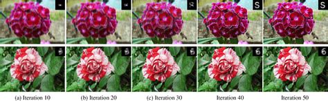 figure 3 from blind motion deblurring from a single image using sparse