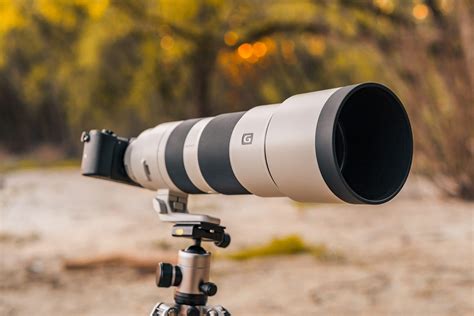 Best Wildlife Camera 2024 Dyna Natala