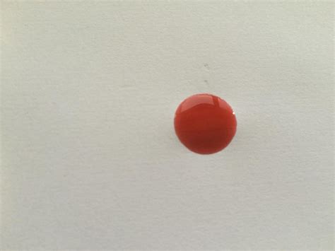 Blood Splatter Experiment