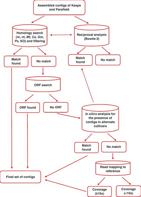 Computational Pipeline For The Functional Annotation And Classification