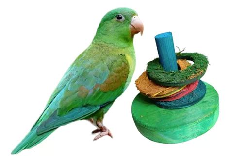 Juguete Para Aves Aros Educativos Pericos Loros Ninfas Etc Meses Sin