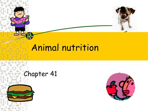 Ppt Animal Nutrition Powerpoint Presentation Free Download Id9717818