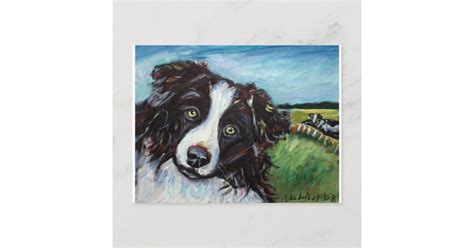 Border Collie Smile Postcard Zazzle