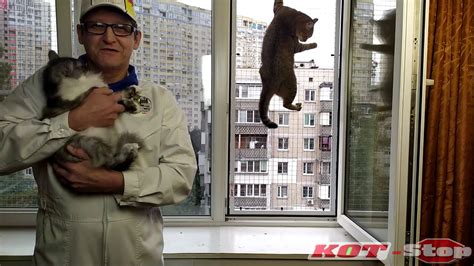 🐱Защитная Сетка Решетка антикошка. ЕВРОПЕЙСКАЯ решетка КОТ Stop ...