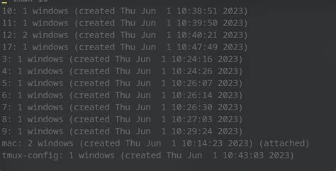 hi i am new to tmux how to resolve the icons in nvim and how to only