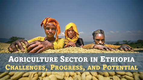 Aakash Somani On Linkedin Agriculture Sector In Ethiopia Challenges