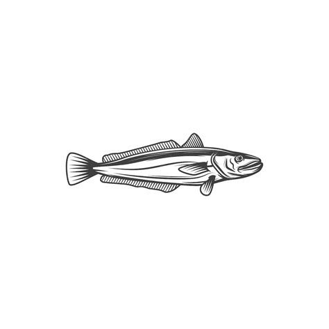 Premium Vector Cod Or Hake Saltwater Fish Isolate Monochrome Icon
