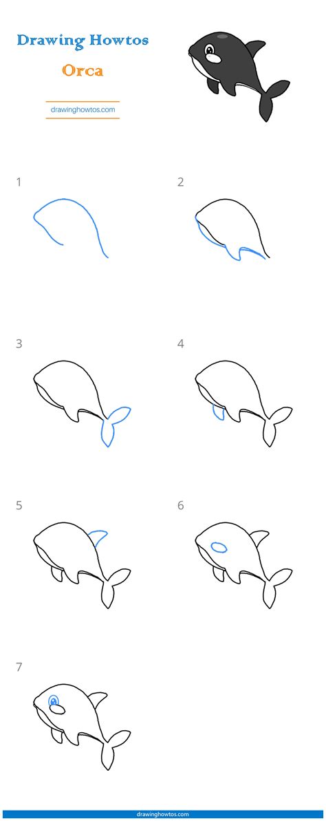 How To Draw An Orca Step By Step Easy Drawing Guides Drawing Howtos
