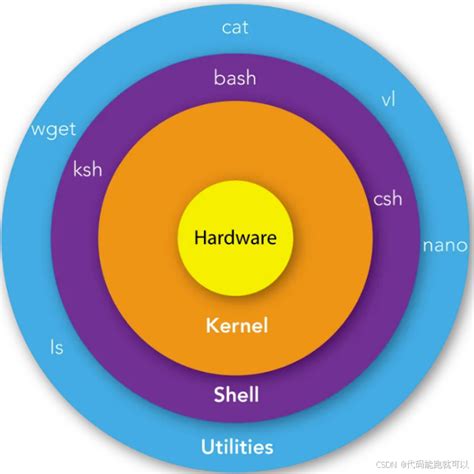 linux shell编程——从入门到应用 linux shell 菜鸟教程 csdn博客