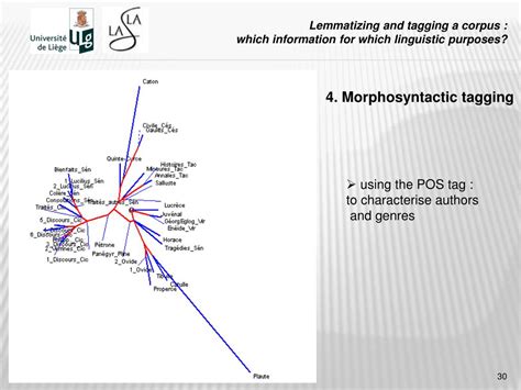 Ppt Lemmatizing And Tagging A Corpus Which Information For Which Linguistic Purposes