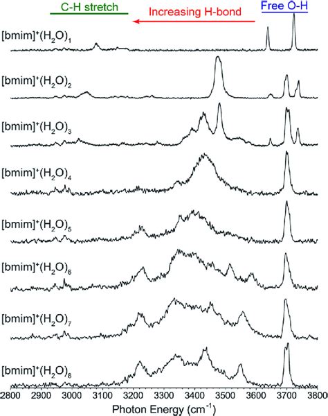 Experimental Ir Predissociation Spectra Of Bmim Áh 2 O N N 1