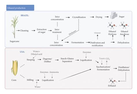 Ethanol Production Process Using Corn In Usa And Sugarcane In Download Scientific Diagram