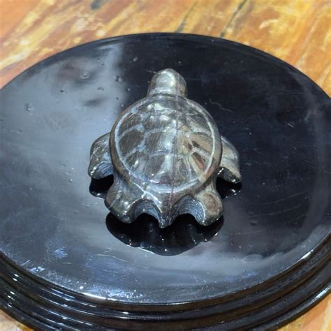 Pyrite Turtle Crystals By Sisters