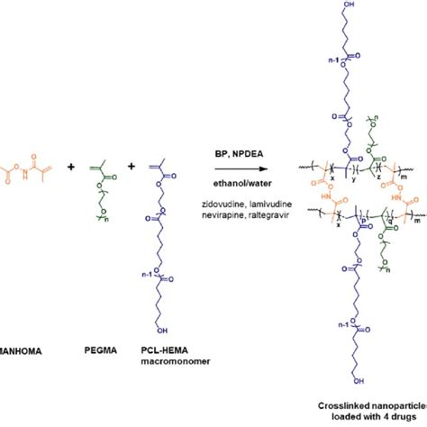 A Structures Of Acrylamide N 3 Aminopropyl Methacrylamide And