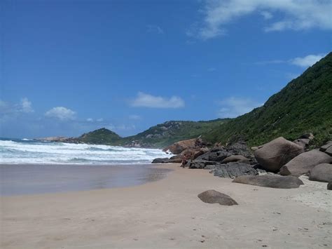 Praia Mole Gay Beaches In Florianópolis Reviews And Info Gayout