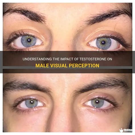 Understanding The Impact Of Testosterone On Male Visual Perception MedShun