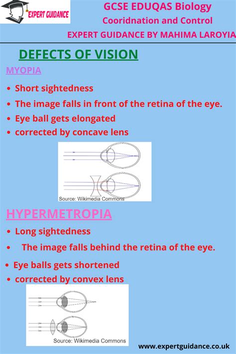 Gcse Ocr Biology Coordination And Control The Nervous System Complete Revision Summary Notes