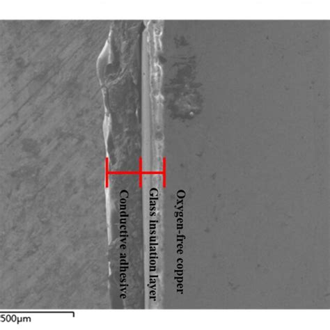 Side Sections Of Test Specimens Observed By An Optical Microscopy Download Scientific Diagram
