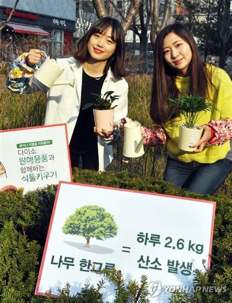 다이소 식목일 맞이 원예용품 출시