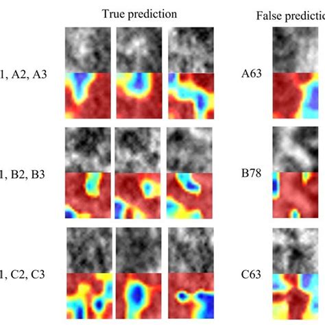 Test Images And Heatmap Overlaid On These Images Generated By