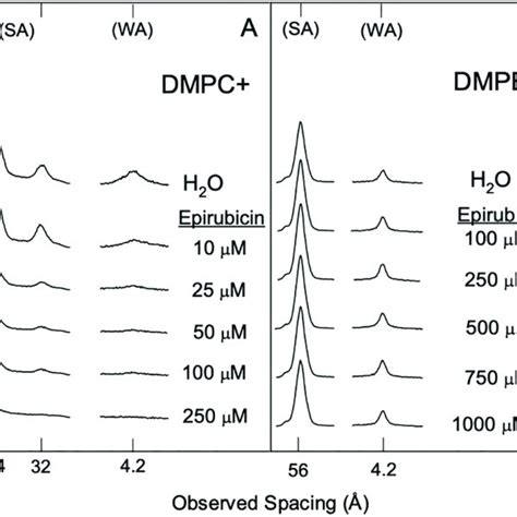 X Ray Diraction Patterns Of A Dimyristoylphosphatidylcholine Dmpc Download Scientific