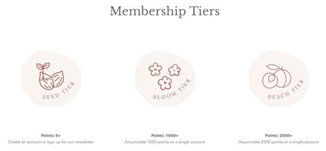 The Ultimate Guide To Tiered Loyalty Programs In 2023