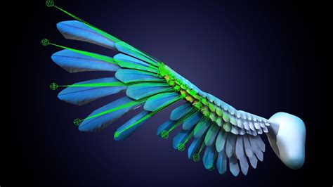 Rigging Wings In Maya