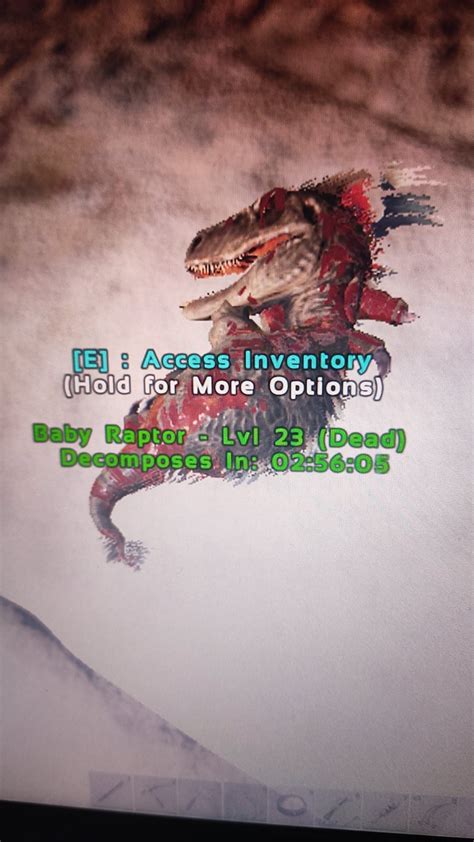 Rip To This Raptor I Hatched R Ark