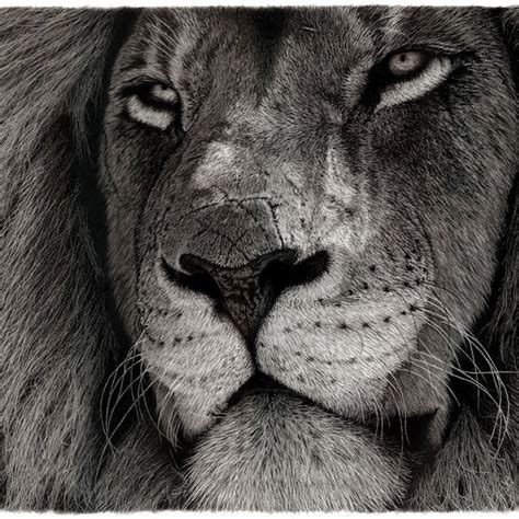 Realistic Drawing Etsy