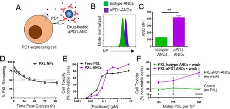 Drug Eluting Immune Checkpoint Blockade Antibody Nanoparticle Conjugate