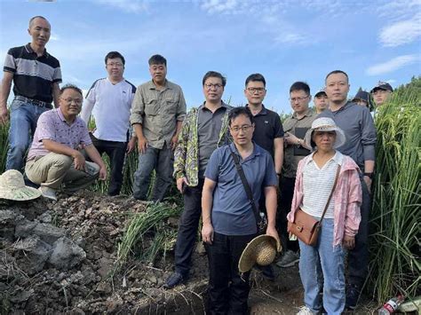 农业农村部耕地质量监测保护中心